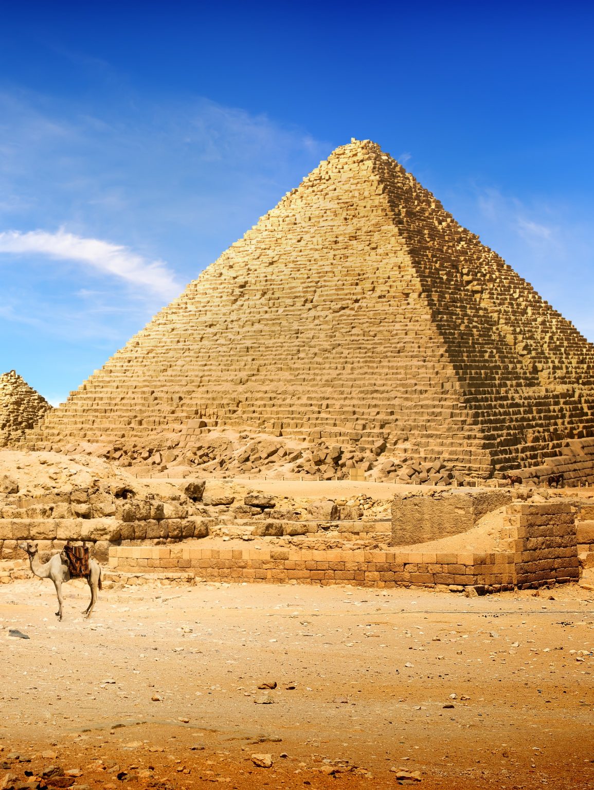 Top History Websites For The Historian In You | Edulyte