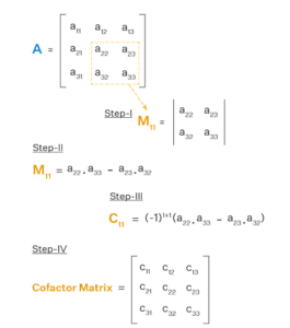 Cofactor Formula Explained | Understanding the Importance of Cofactors