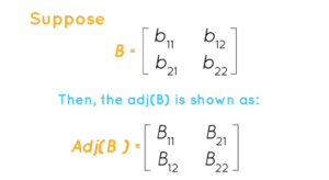 Cofactor Formula Explained | Understanding the Importance of Cofactors