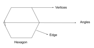 Explore Polygons: Shapes, Definitions, and Formulas | Your Polygonal Guide